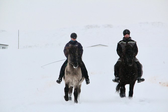 The Viking Horse Riding Experience in North Iceland - Journey Through Stunning Landscapes