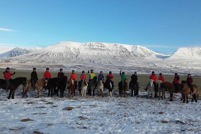 The Viking Horse Riding Experience in North Iceland - The Perfect Tour for All Experience Levels