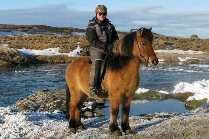 The Viking Horse Riding Experience in North Iceland - Safety Guidelines and Health Considerations