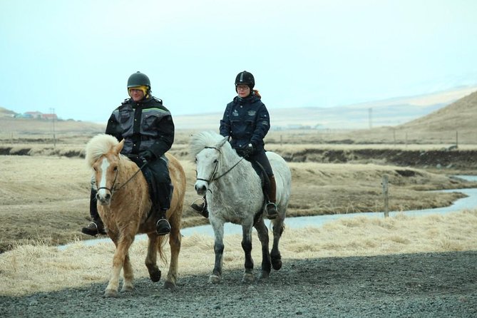 The Viking Horse Riding Experience in North Iceland - Customer Experiences and Testimonials