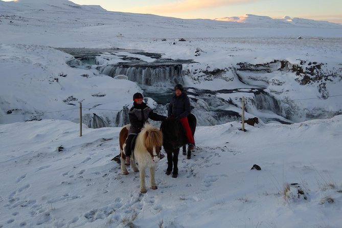The Viking Horse Riding Experience in North Iceland - Booking Your Viking Horse Riding Adventure