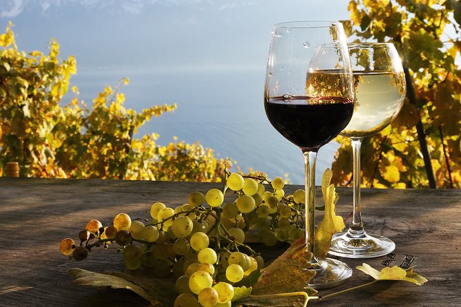 The Vine Tour from Zurich (Private Tour) - Key Points