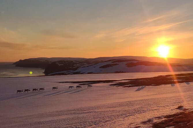 The VIP North Cape Tour (Honningsvåg - Skarsvåg - the North Cape) - Inclusions and What to Expect