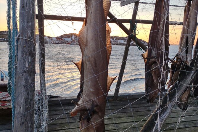 The VIP North Cape Tour (Honningsvåg - Skarsvåg - the North Cape) - Scenic Stops and Views