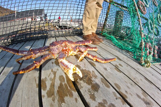 The VIP North Cape Tour (Honningsvåg - Skarsvåg - the North Cape) - Culinary Delights on the Tour