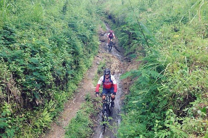 The Volcano Trail - Key Points