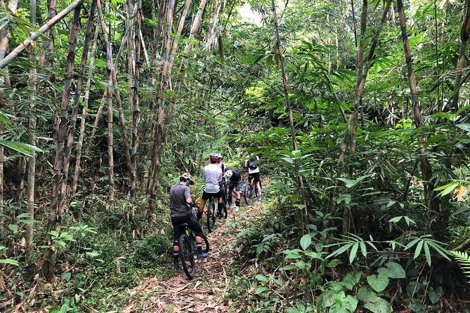 The Volcano Trail - Practical Details and What to Expect