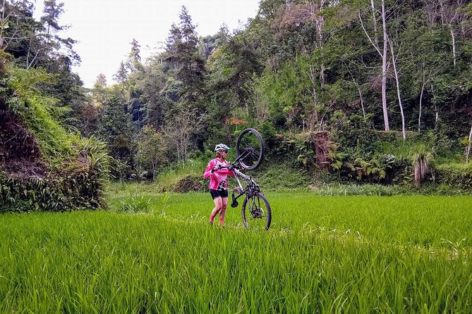 The Volcano Trail - Why and Who Should Consider This Tour?