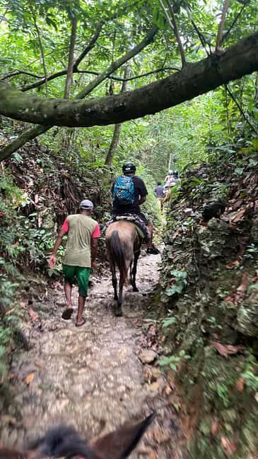 The waterfall of the lemon : Explore the waterfall of the lemon and know its rivers mountains - Key Points