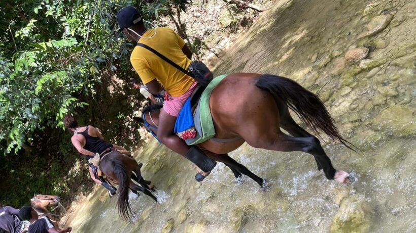The waterfall of the lemon : Explore the waterfall of the lemon and know its rivers mountains - A Closer Look at the Waterfall of the Lemon Tour