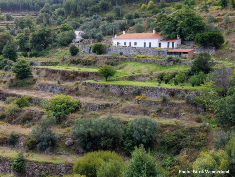 The western wild Algarve with a luxury picnic and extra Wow - The Luxury Picnic Experience