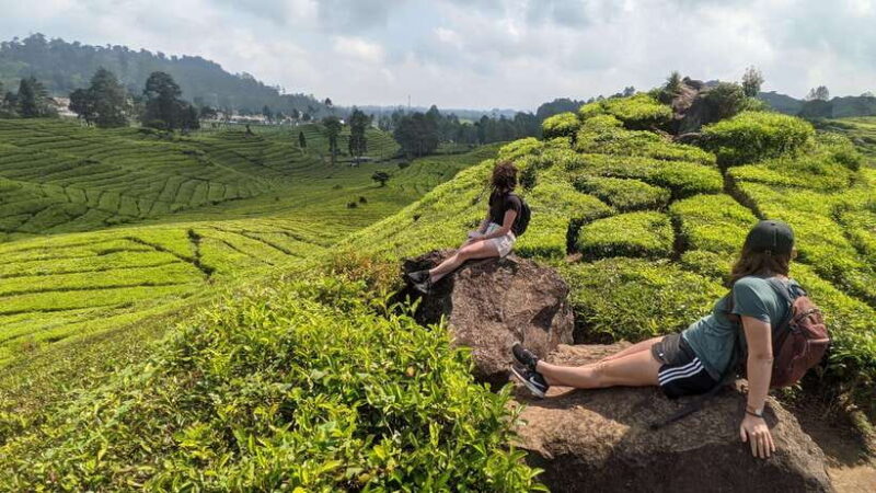 The White Crater, Lake, Suspension Bridge, & Hotspring Tour - Key Points