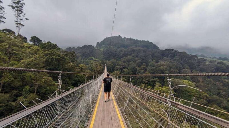 The White Crater, Lake, Suspension Bridge, & Hotspring Tour - What to Expect and How the Day Unfolds