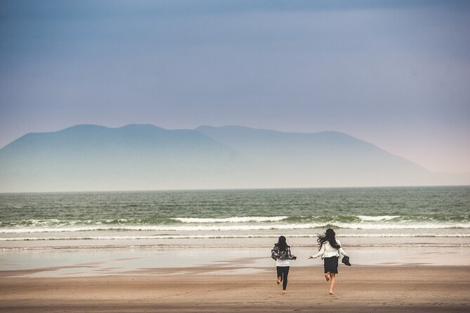 The Wild Coast of Dingle Peninsula and Slea Head from Killarney - Key Points