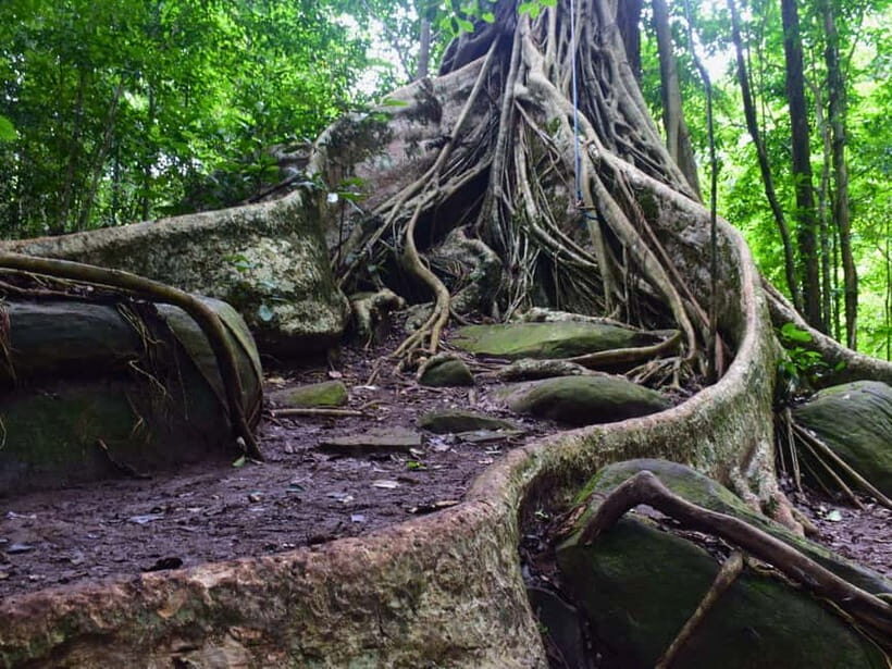 The Wilds: Khao Yai Trekking and Stargazing 2-Day Tour - Discovering Khao Yai: An Outdoor Adventure