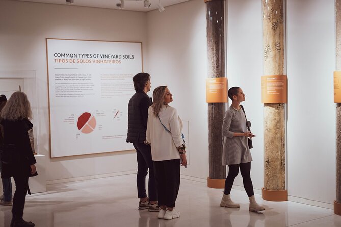 The Wine Experience Entry Ticket & Tasting Review - Interactive and Immersive Exhibits