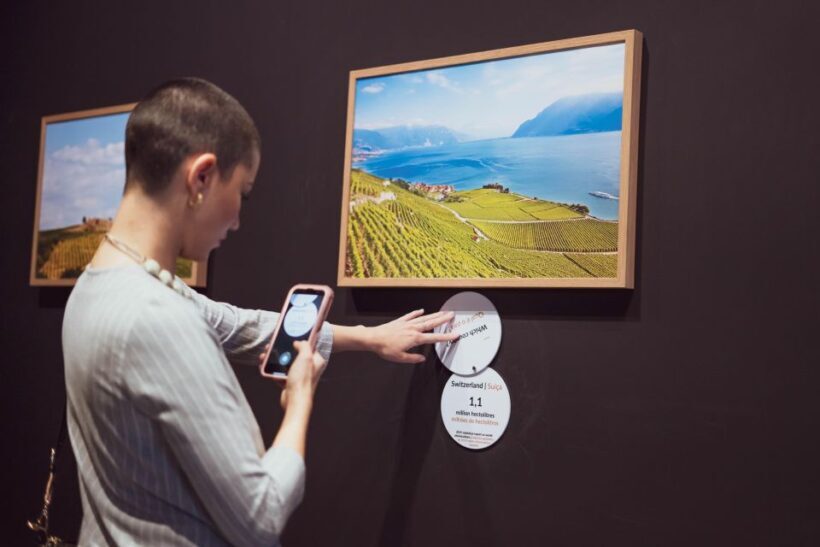 The Wine Experience + Personalised Tasting WOW Pack - What to Expect from This Wine Experience