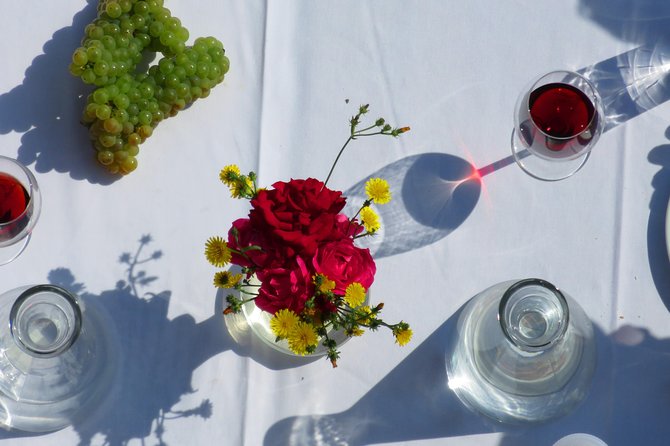 The wine route by bike - Detailed Breakdown of the Itinerary