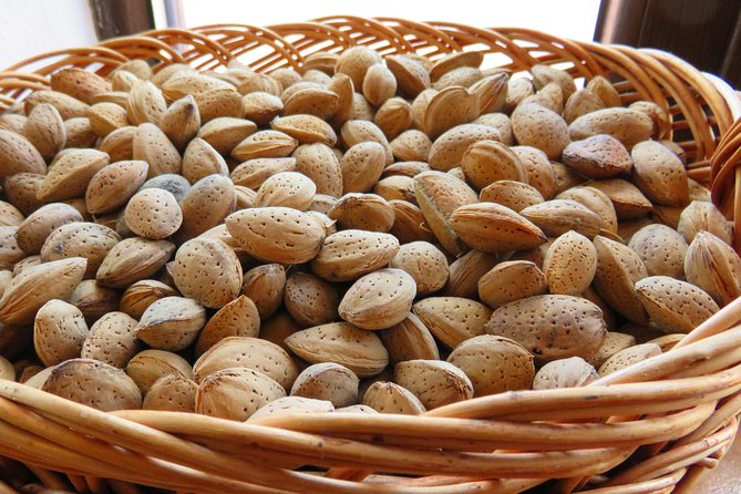 The wine route by bike - The Value of the Experience