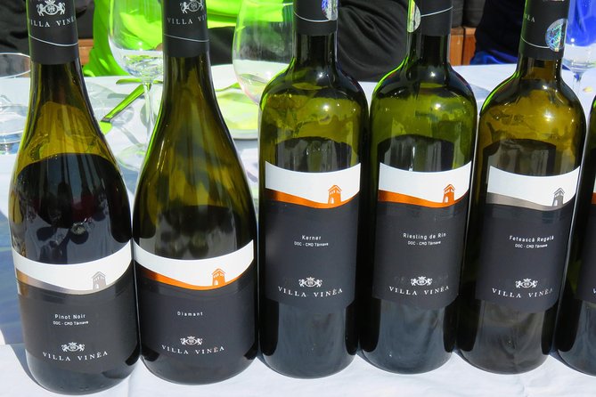 The wine route by bike - Who Will Love This Tour?