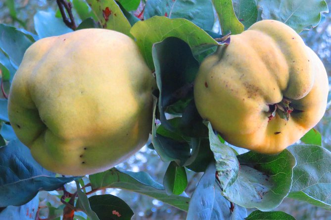 The wine route by bike - The Sum Up