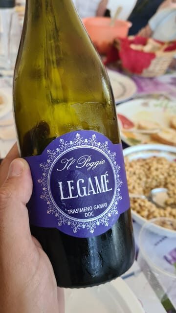 The WINEdering Bike: Private Bike Tour & Wine Tasting - Key Points