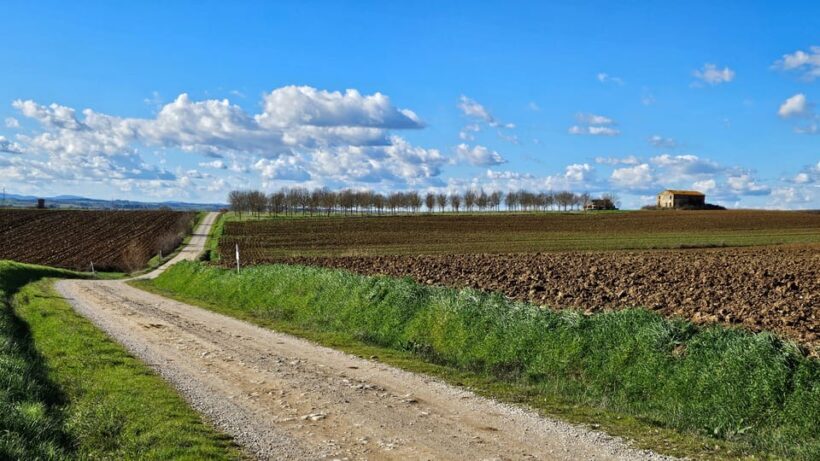 The WINEdering Bike: Private Bike Tour & Wine Tasting - FAQ