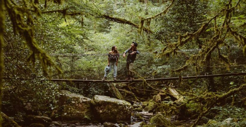 The Wonders of Arifat: A Journey to the Enchanted Waterfall - Key Points