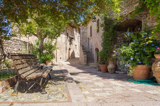 The Wonders of Assisi Private Walking Tour - The Practicalities and What to Expect