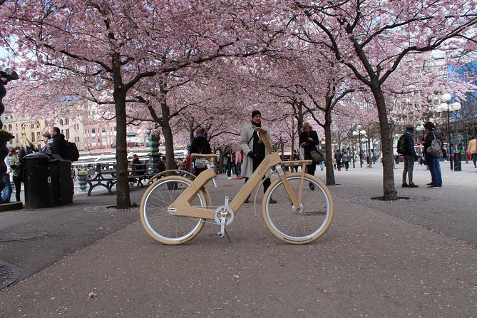 The Wooden Bicycle Tour in Stockholm - What to Expect During the Wooden Bicycle Tour