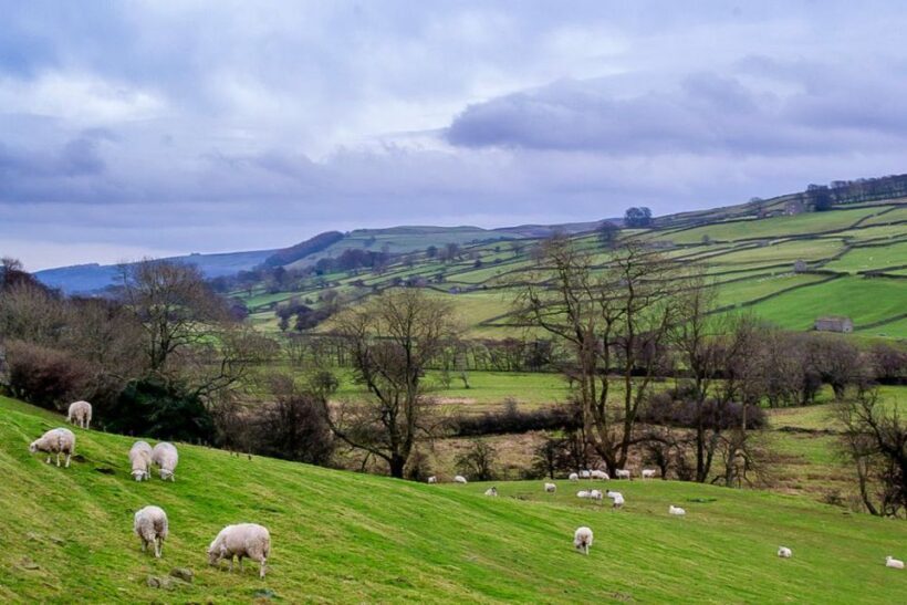 The Yorkshire Dales Tour from York - The Sum Up