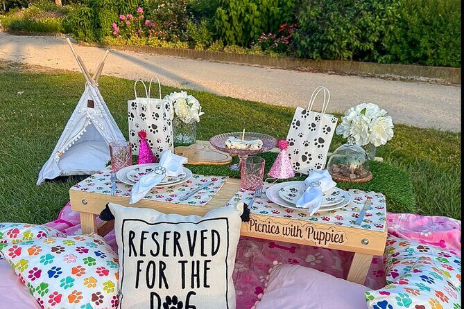 Themed Luxury Picnic - The Experience: What You Can Expect