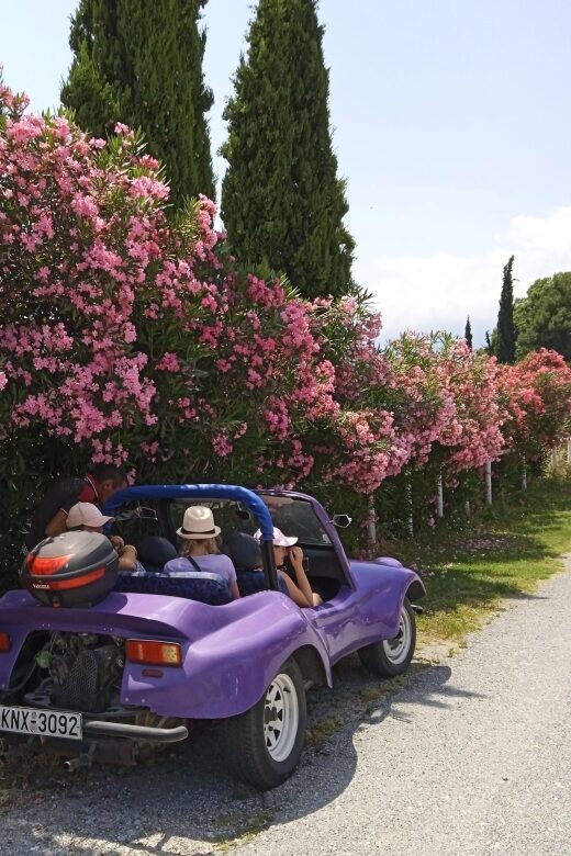 Thessaloniki : Buggy Safari "Discover Olympus" - An In-Depth Look at the Experience