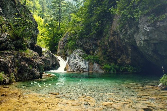 Thessaloniki: Bus Trip to Dion & Mt Olympus National Park - Authentic Experiences and Traveler Insights