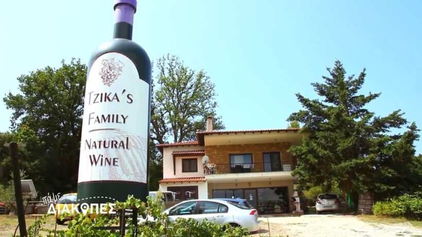 Thessaloniki Day Trip to Petralona Cave,Afytos& Wine Tasting - Key Points