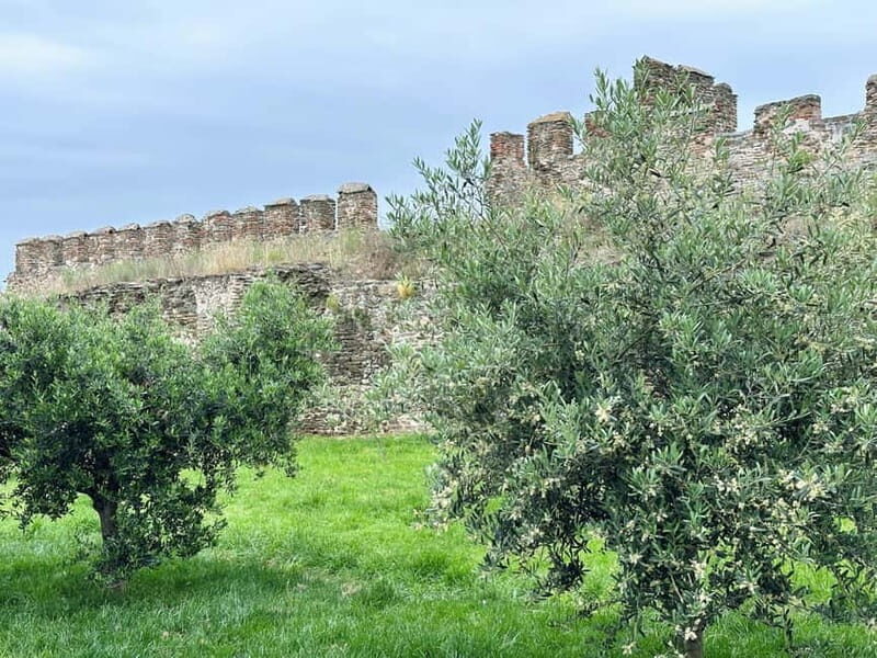 Thessaloniki Old Town Walking Tour-Culture-Nature-Plants - The Tour Overview: A Deep Dive into Thessaloniki’s Hidden Corners