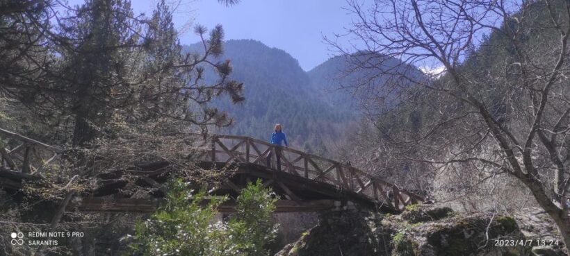 Thessaloniki: Private Olympus, Gorge, Old Panteleimonas - Why Choose This Tour?