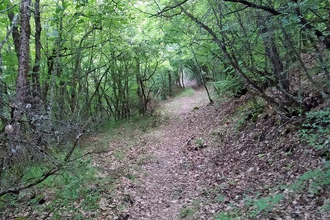 Thessaloniki to Naoussa, Wine Tasting Tour  Private Day Trip - Exploring the Naoussa Region: Natural Beauty & History