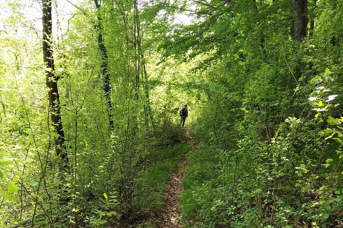 Thessaloniki to Naoussa, Wine Tasting Tour  Private Day Trip - Wine and Wineries: The Heart of Naoussa