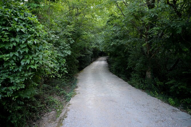 Thessaloniki to Naoussa, Wine Tasting Tour  Private Day Trip - Practical Details: What to Expect