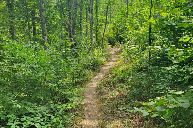 Thessaloniki to Naoussa, Wine Tasting Tour  Private Day Trip - Cost and Value: Is It Worth It?