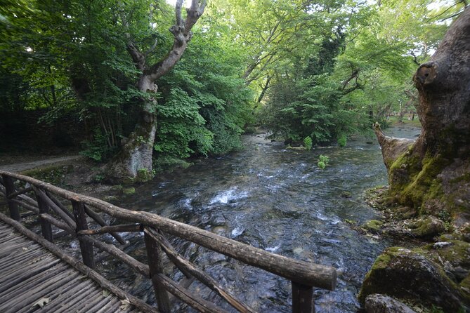 Thessaloniki to Naoussa, Wine Tasting Tour  Private Day Trip - Who Will Enjoy This Tour?