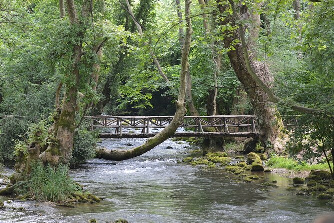 Thessaloniki to Naoussa, Wine Tasting Tour  Private Day Trip - FAQ