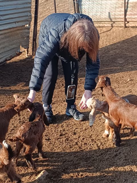 Thessaloniki: Visit a Farm and a traditional Village - Practical Details and Considerations