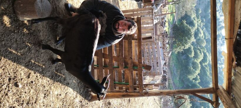 Thessaloniki: Visit a Farm and a traditional Village - Authenticity and Value: Who Will Love This?