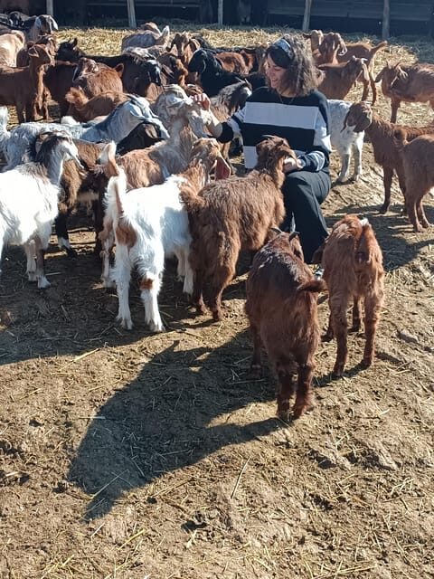 Thessaloniki: Visit a Farm and a traditional Village - Final Thoughts