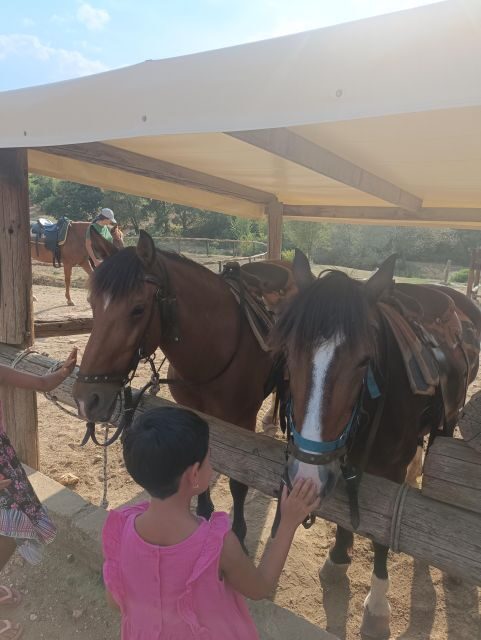 Thessaloniki:Horse Riding in a farm - The Authenticity and Hospitality