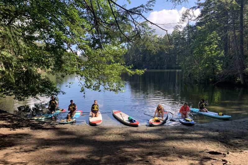 Thetis Lake: Paddle Board Tour with Gear Included - Practical Tips for Your Paddleboard Adventure