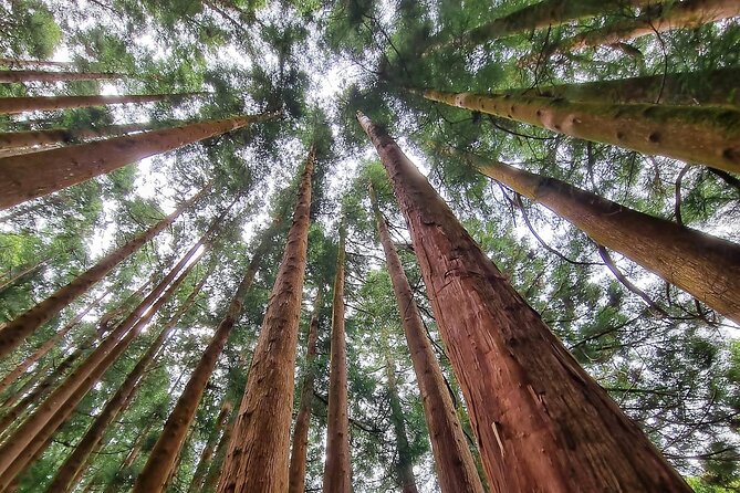 Third Island Full Day Tour - Tour Overview