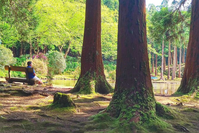 Third Island Full Day Tour - Guide Highlights